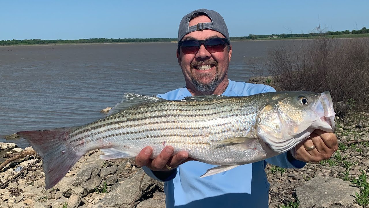 Catfish vs Striper catch and cook. #fishing #texas #stripedbass # ...