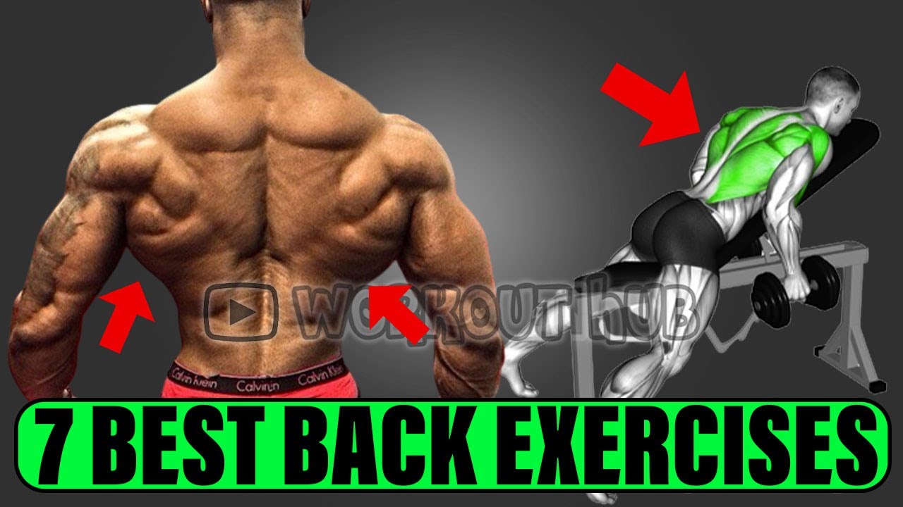 Lats workout - 7 Exercises To Get The Big Lats - YouTube