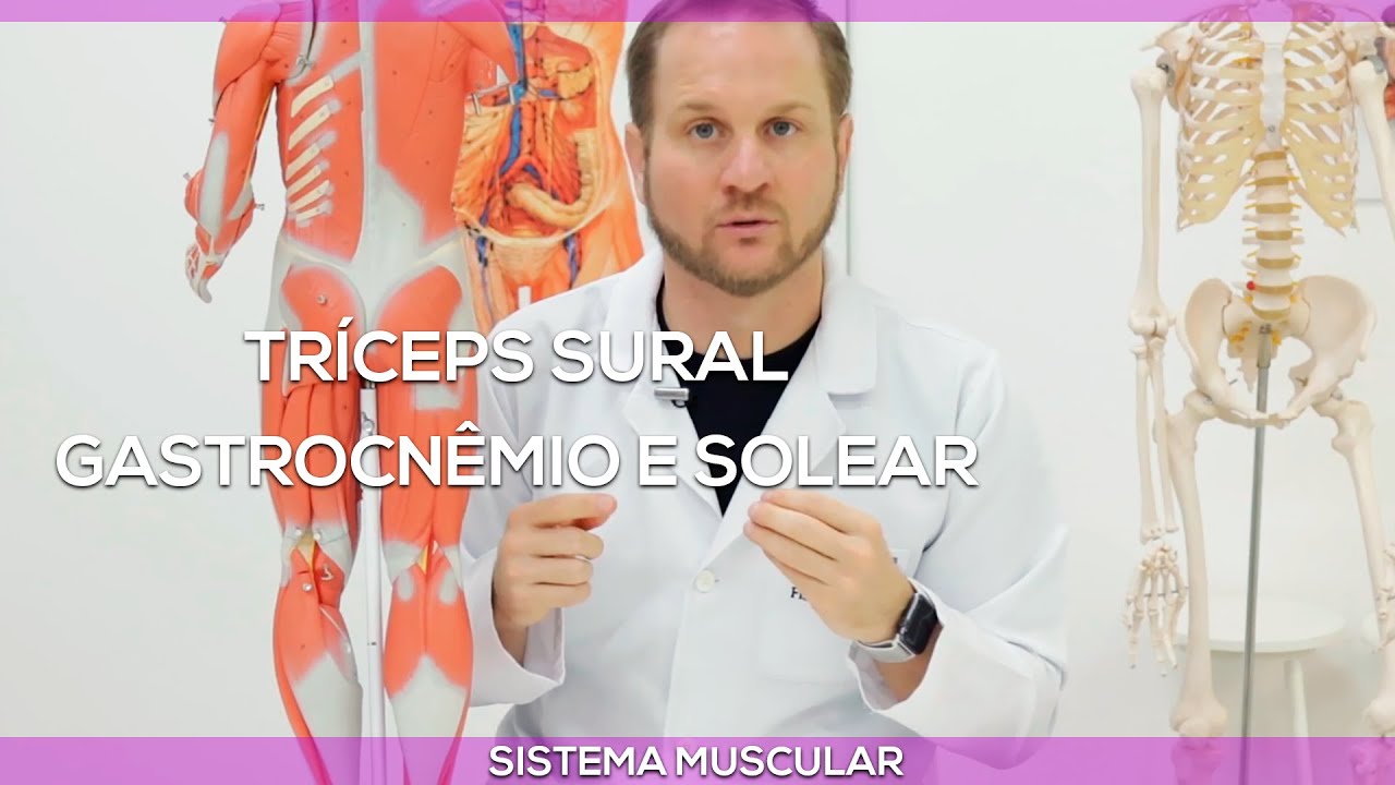 Panturrilha - Músculos do Tríceps sural (Gastracnêmio e Sóleo) - YouTube