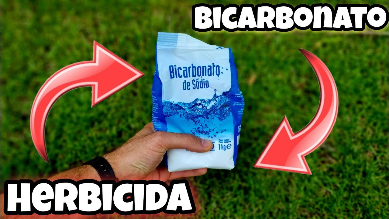 APLICA este HERBICIDA CASERO para PLANTAS y di adiós a las malas ...