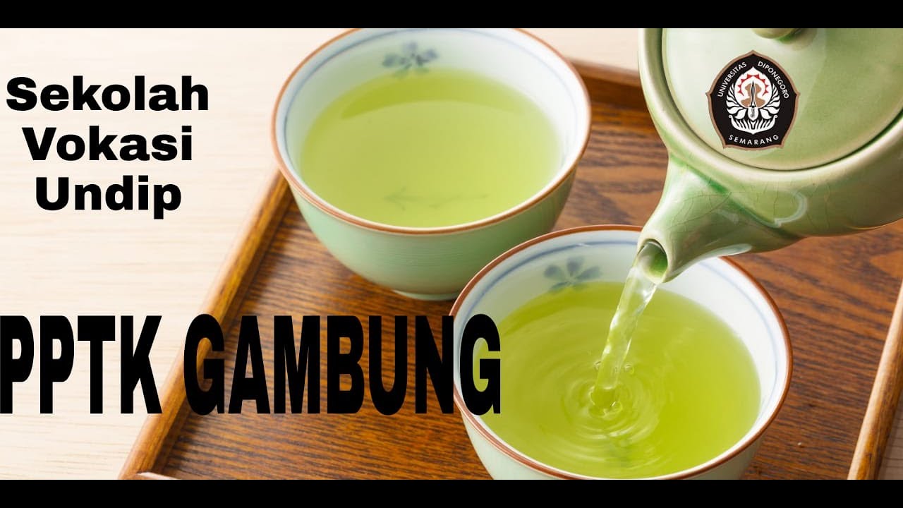 TEH HIJAU DE-KAFEIN | INNOVASI SV UNDIP - PPTK GAMBUNG - YouTube