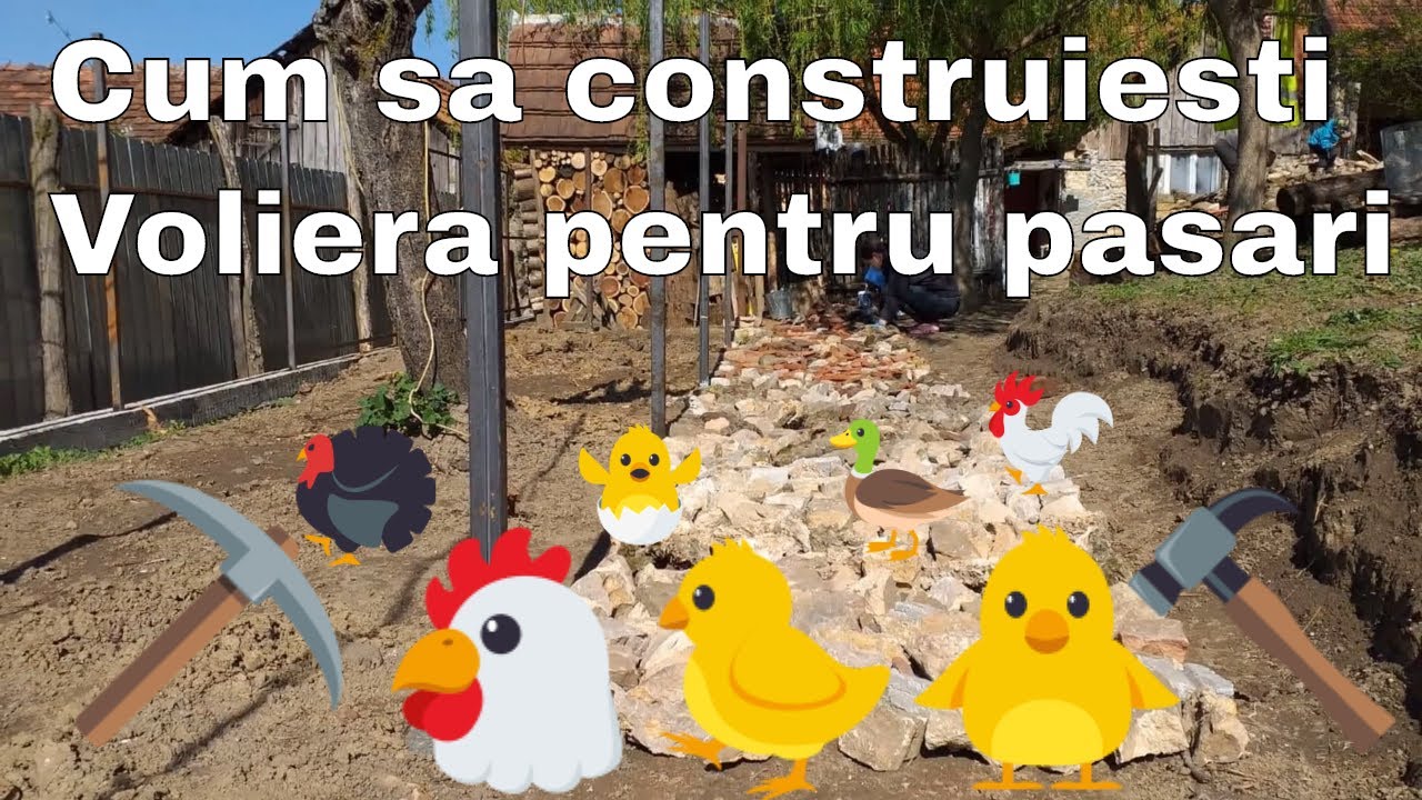 Voliera pentru pasari, gaini, etc 2020 - YouTube