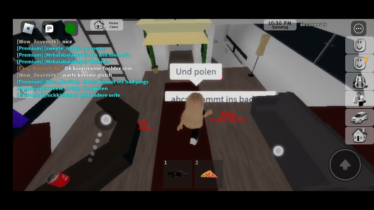 Roblox Brookhaven Gameplay - YouTube