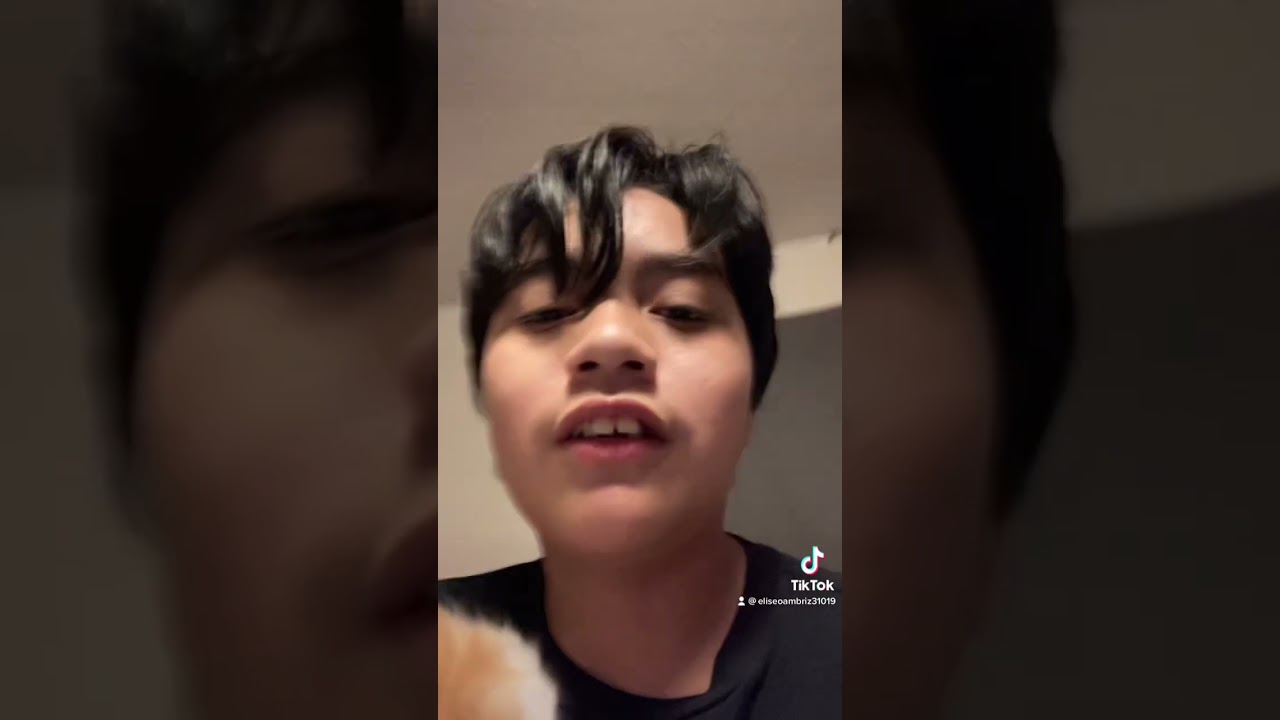 Allan Bassant's Instagram, Twitter & Facebook on IDCrawl