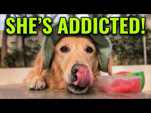 We Stopped Mid Walk for THIS... AND SHE DIDN'T WANT TO LEAVE‼️ - YouTube