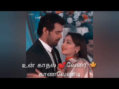abipragya whatsapp status