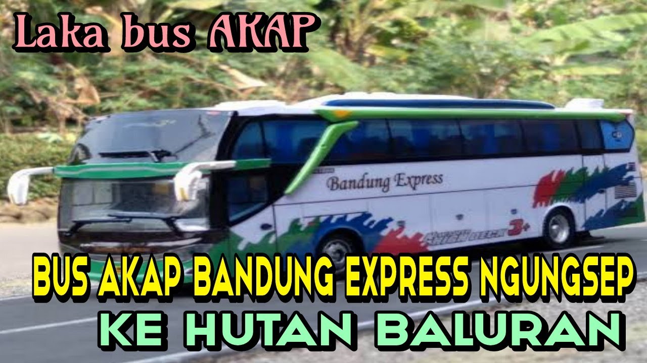 BUS AKAP PO.BANDUNG EXPRESS NYUNGSEP DI HUTAN BALURAN SITUBONDO JAWA ...