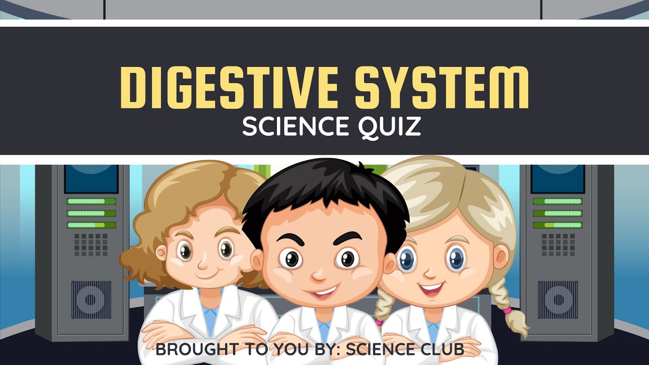 Digestive System - Science Quiz Bee (10 Questions) - YouTube