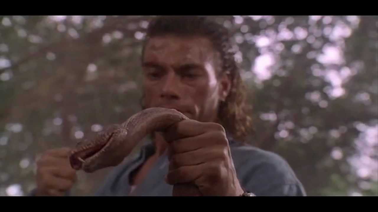 JCVD SNAKE PUNCH DUBSTEP - YouTube