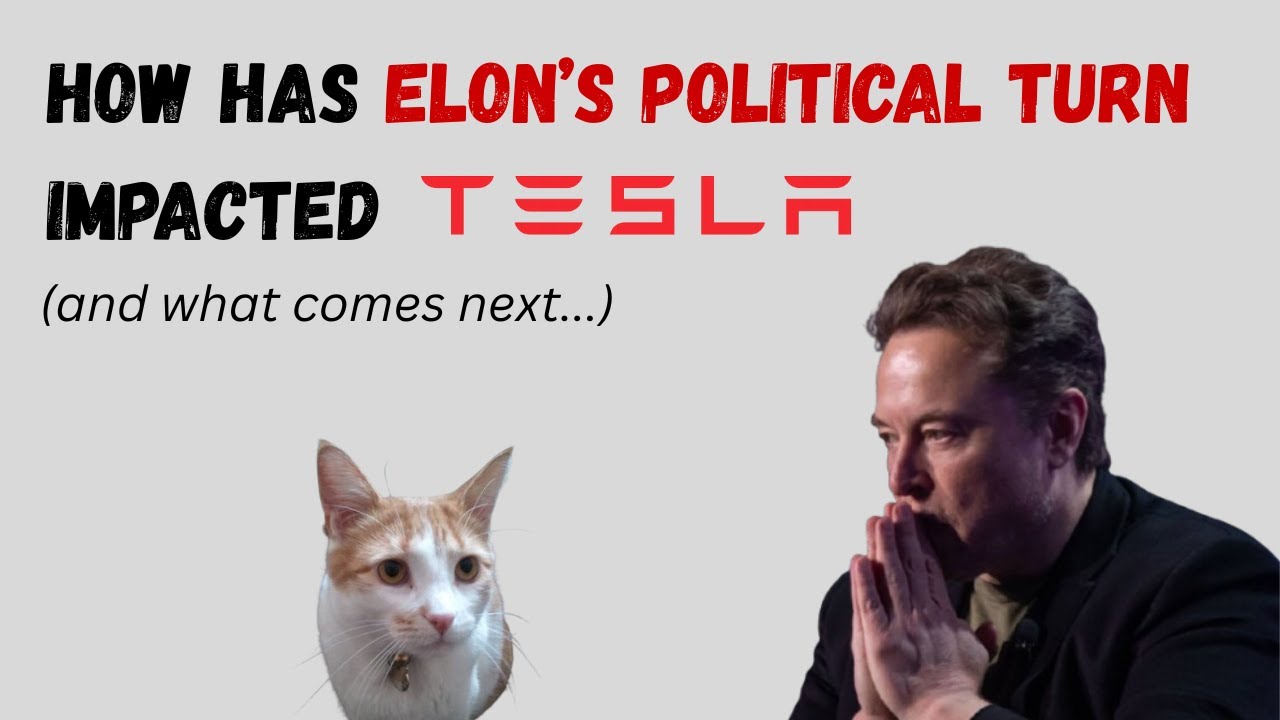 How Elon's Political Turn has Impacted Tesla's Business (and what comes ...