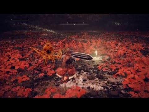 VILE BAYLE! - YouTube