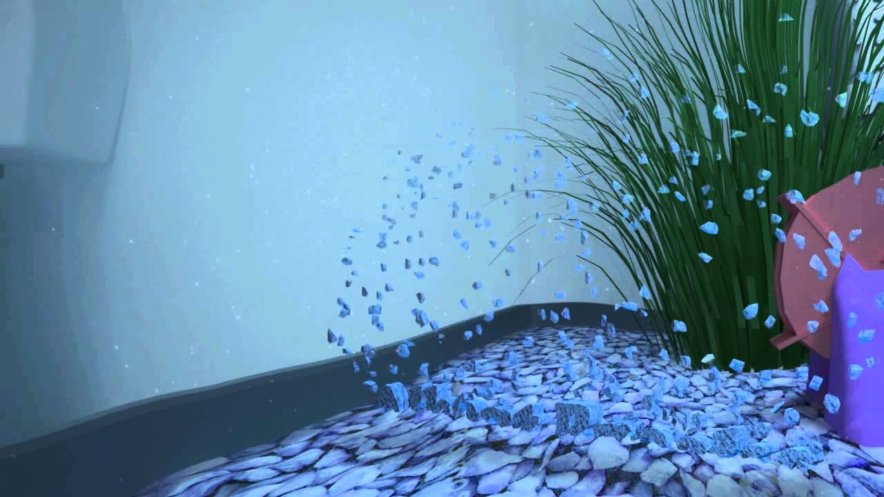 Finding Nemo Intro - YouTube