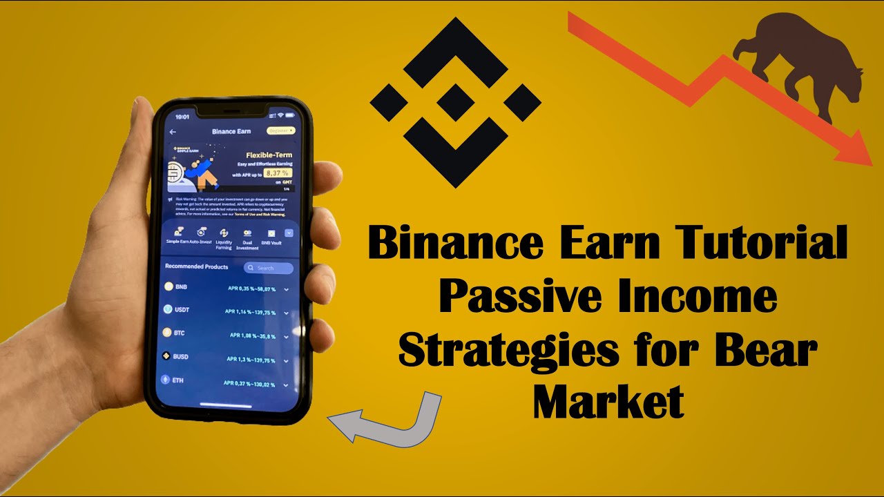 Binance Earn Tutorial | Great Easy Passive Income Strategies for Bear ...
