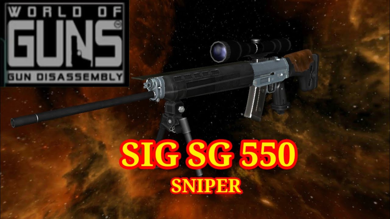 SIG SG 550 SNIPER/SKY D VLOGS - YouTube