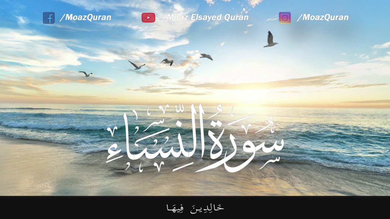 Calming Recitation of Surah A-Nisa | Qari' Moaz Elsayed | القارئ معاذ السيد (Surah 04) - YouTube