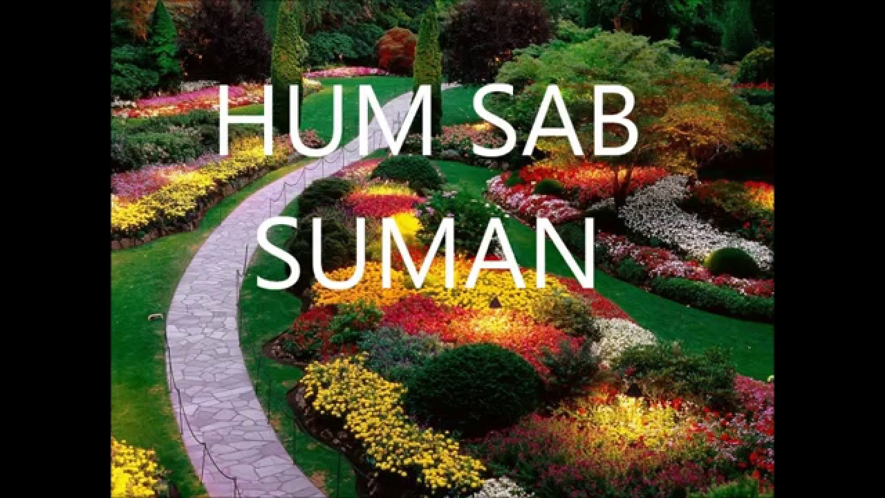हम सब सुमन \\HUM SAB SUMAN//For Class 6th & 7th - YouTube