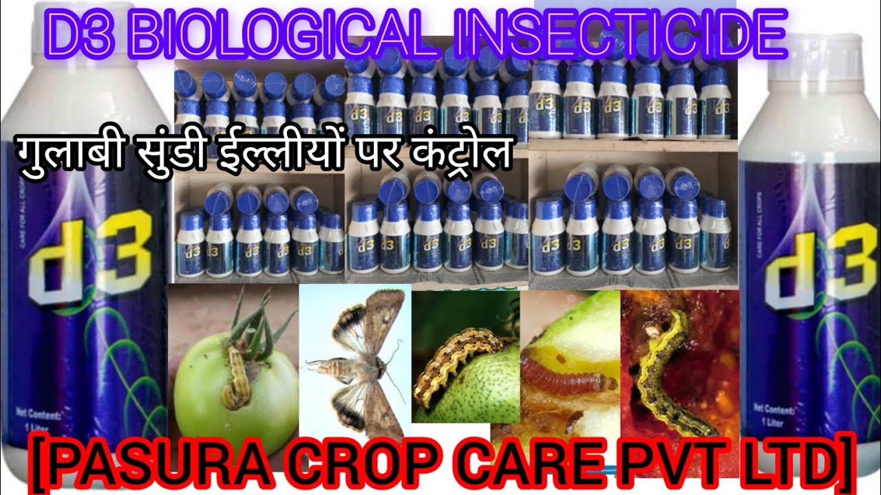D3 PASURA #D3 BIOLOGICAL INSECTICIDE#D3जैविक कीटनाशक#D3 INSECTICIDE#सभी ...