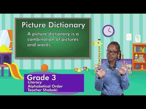 Literacy - Grade 3: Alphabetical Order - YouTube