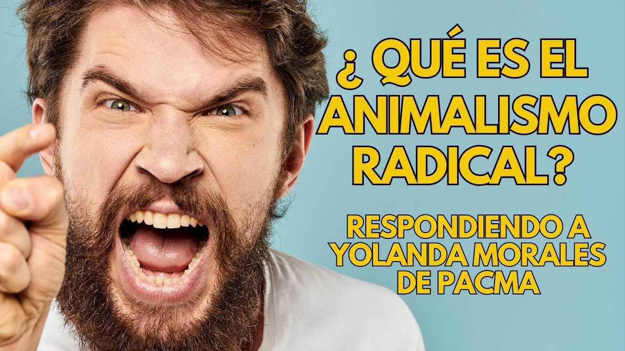 ¿Qué es el Animalismo Radical? - YouTube