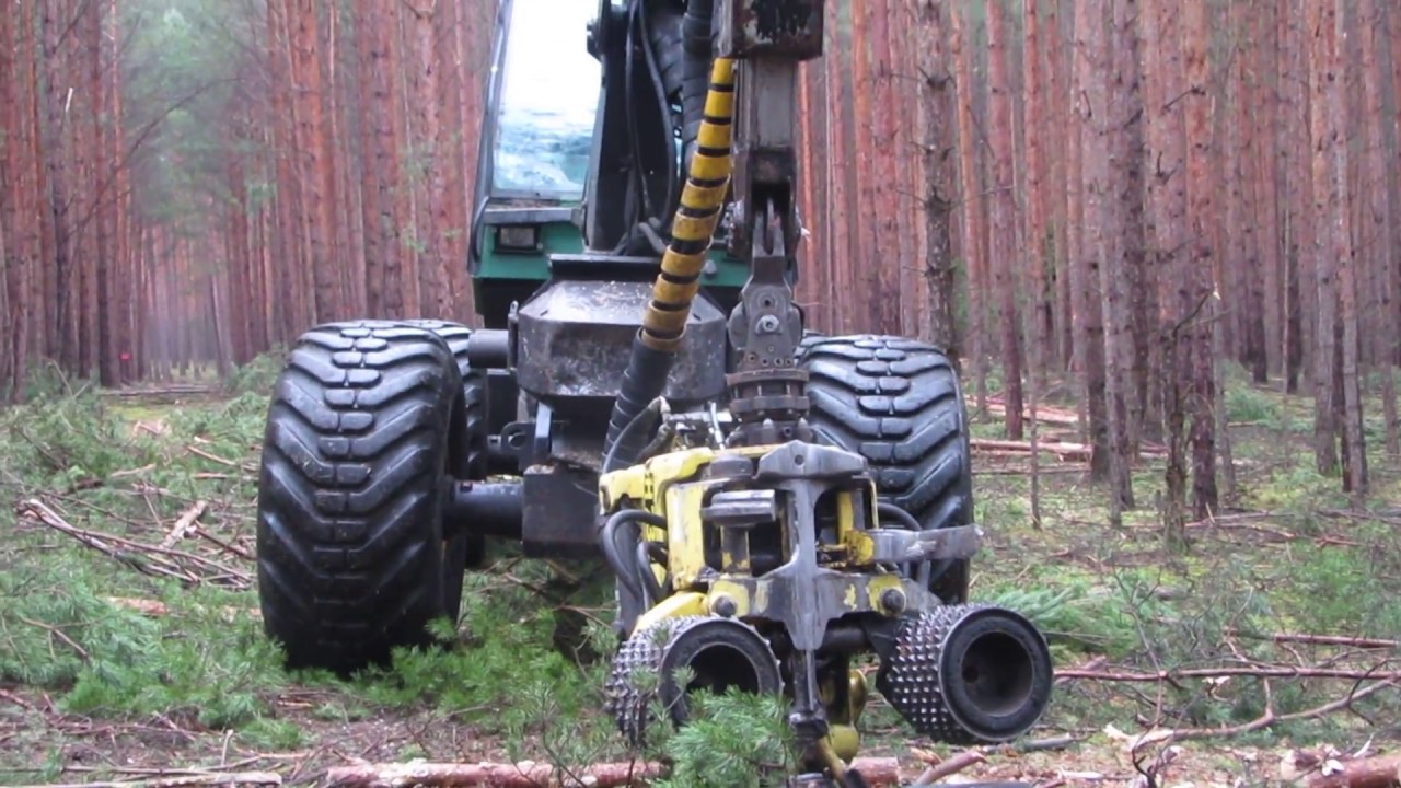 ATAT: Harvester Timberjack 770 - Amator vs. Expert - Czy bedzie ...