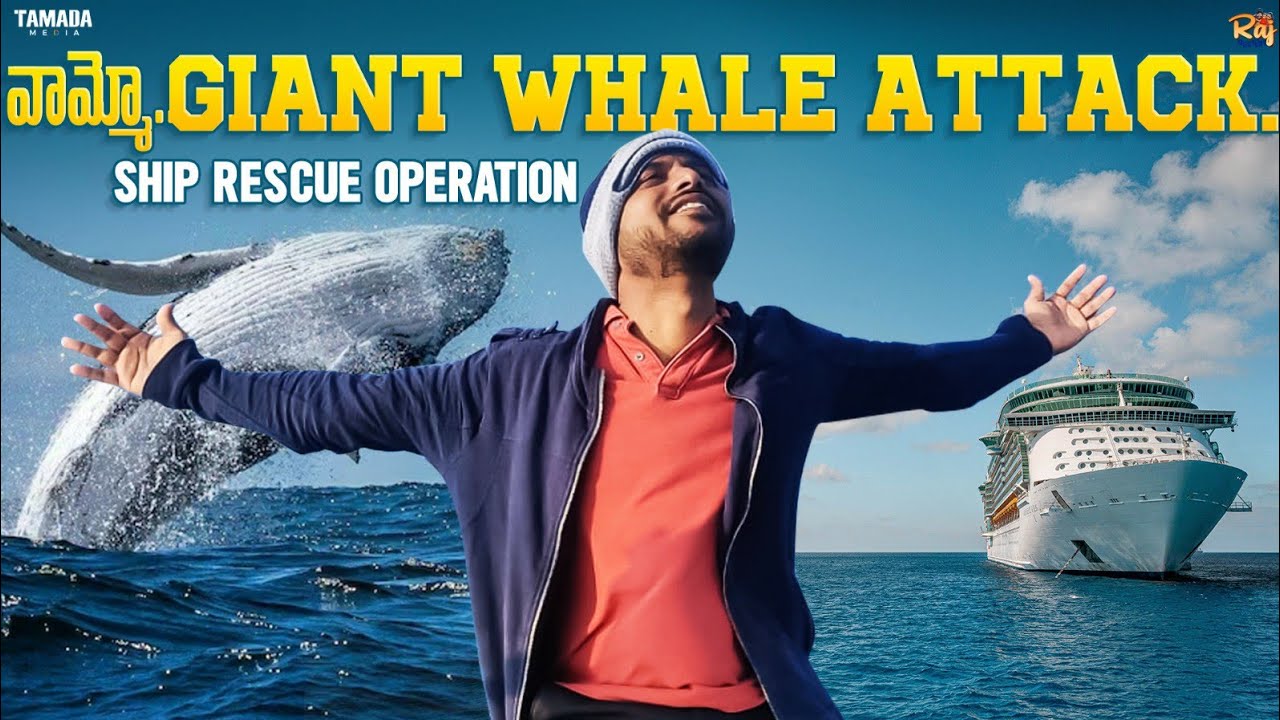 Whale Attack On Ship|Life at Sea Merchant Navy|వామ్మో ఎంత పెద్ద ...