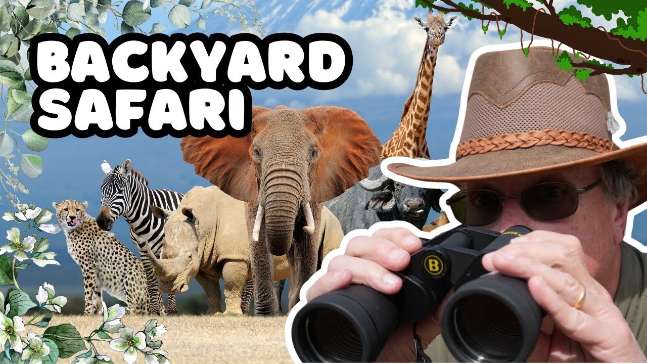 Uncover the Secret: Backyard Safari Adventure - YouTube