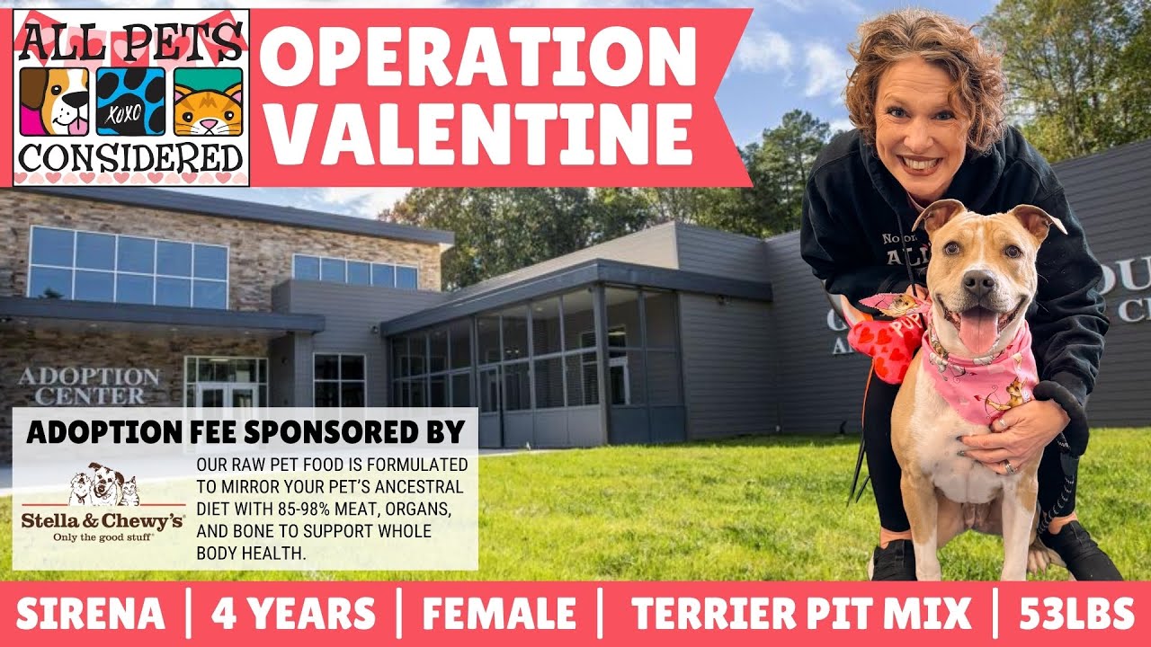 Operation Valentine Day 6 - YouTube