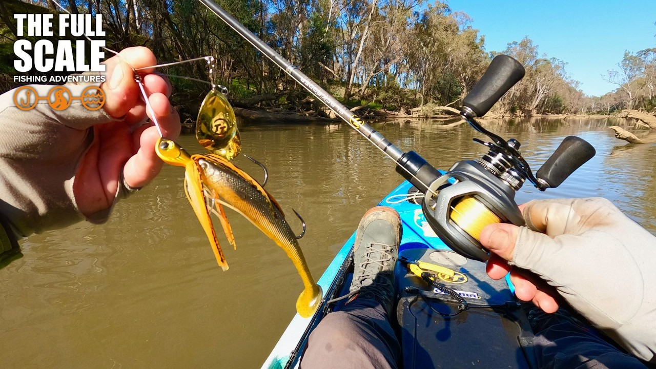 Murray Cod Fishing Topwater and Spinnerbaits | The Full Scale - YouTube