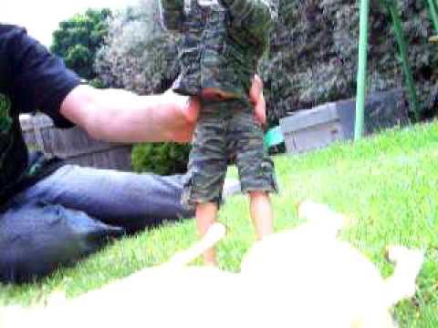 Horsey and Ranger Ken - YouTube