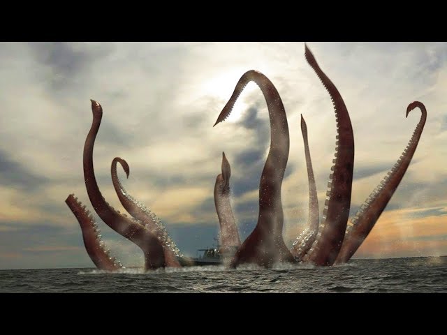 Kraken Na Vida Real The Sea Monster Pulls The Two Headed Shark Into