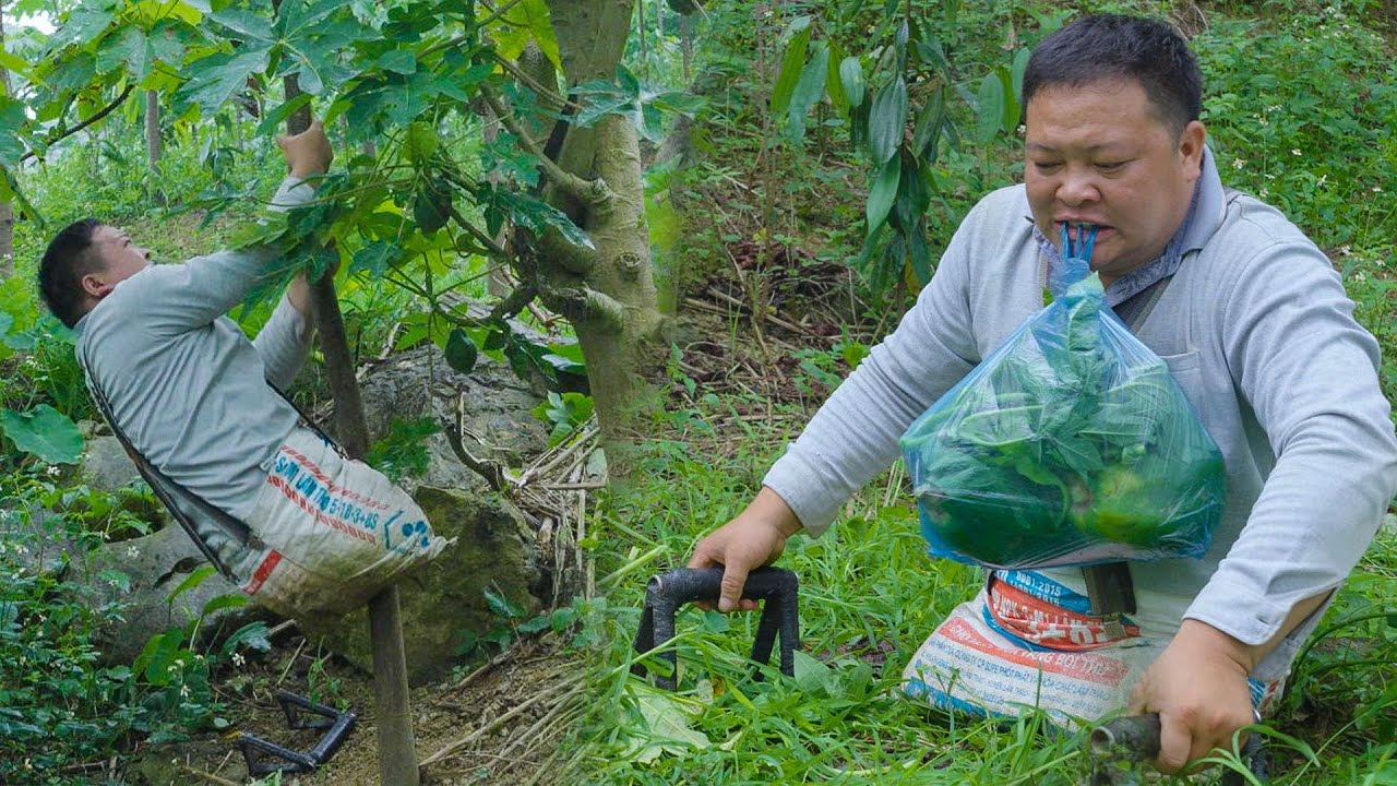 Overcome adversity - Climb trees to pick wild vegetables for meals ...