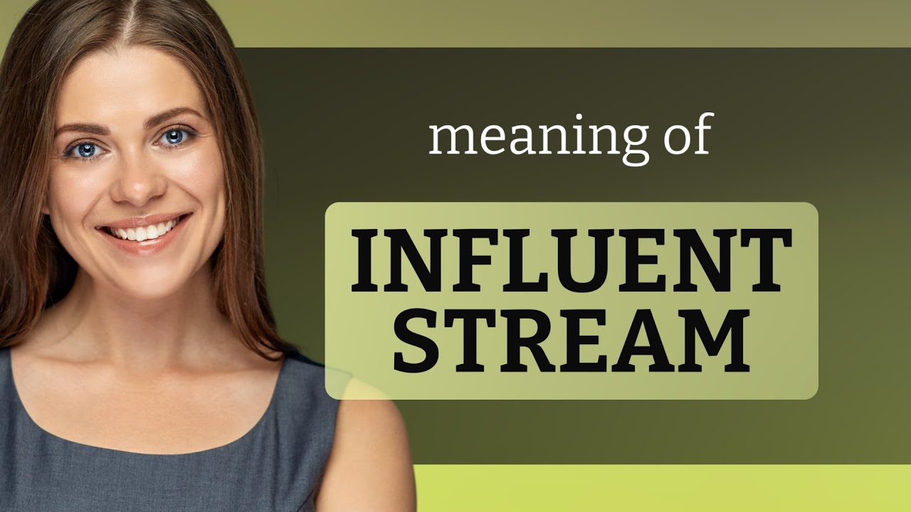 Understanding "Influent Stream": A Guide for English Language Learners ...
