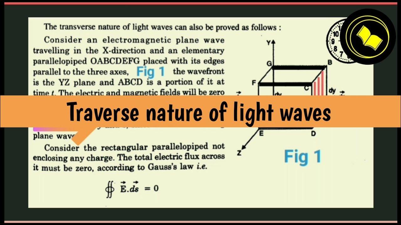 Transverse nature of light waves. - YouTube