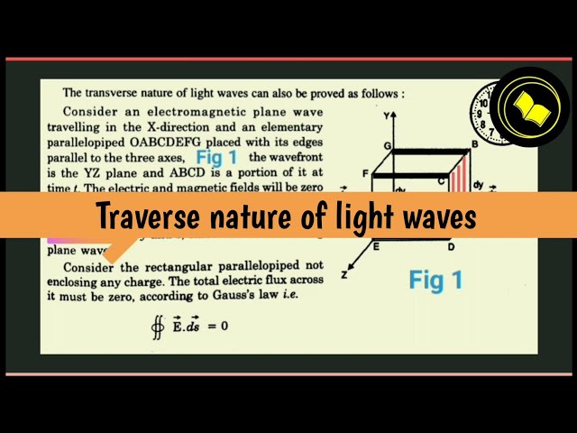 Transversal In Nature