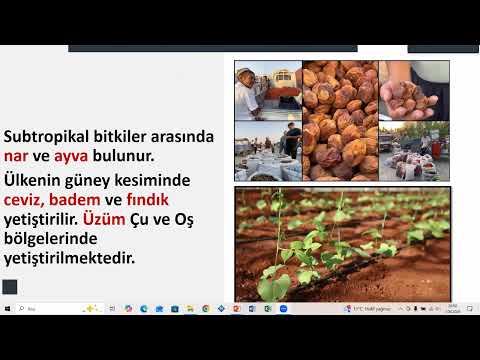 Türk Dünyası Coğrafyası 2 dönem 1 Yazılı Hazırlık