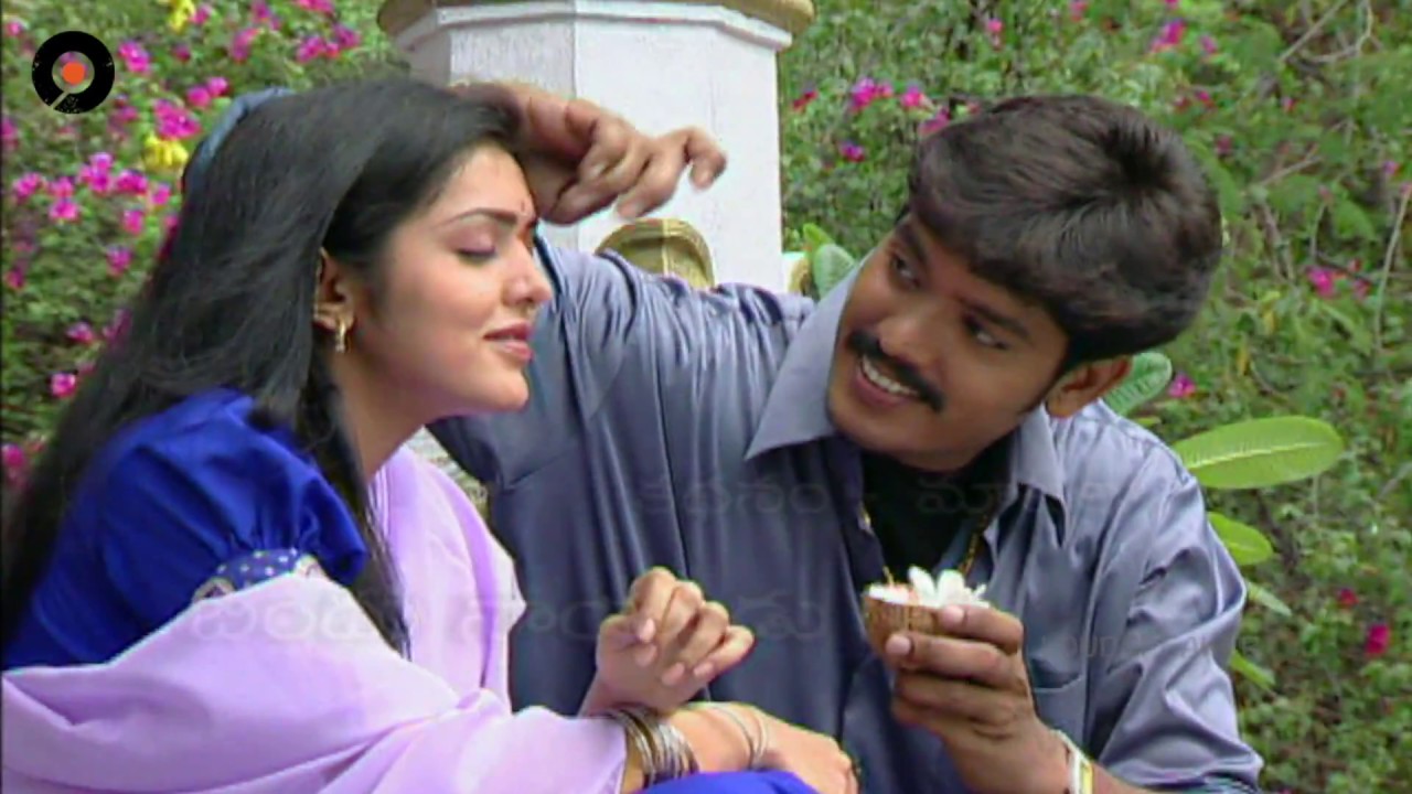 Episode 266 | Chakravakam Telugu Daily Serial - YouTube