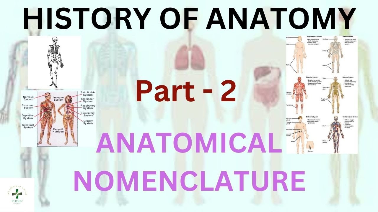 history or anatomy||anatomical nomenclature|| theworldofphysio #anatomy ...