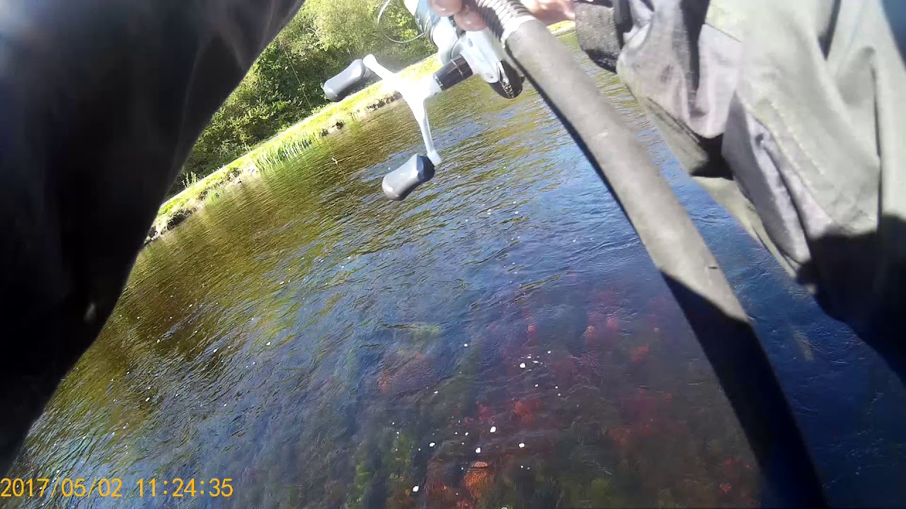 Fishing-drowes in donegal Ireland for SALMON MUST SEE - YouTube