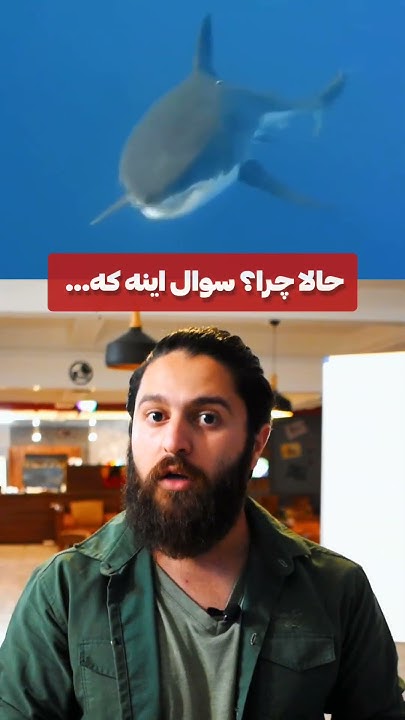 کوسه خطرناک تره یا انسان؟ Shorts Youtube