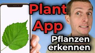 PlantNet App - Identify plants for free | ImmoTrainer Property Manager Wetzikon