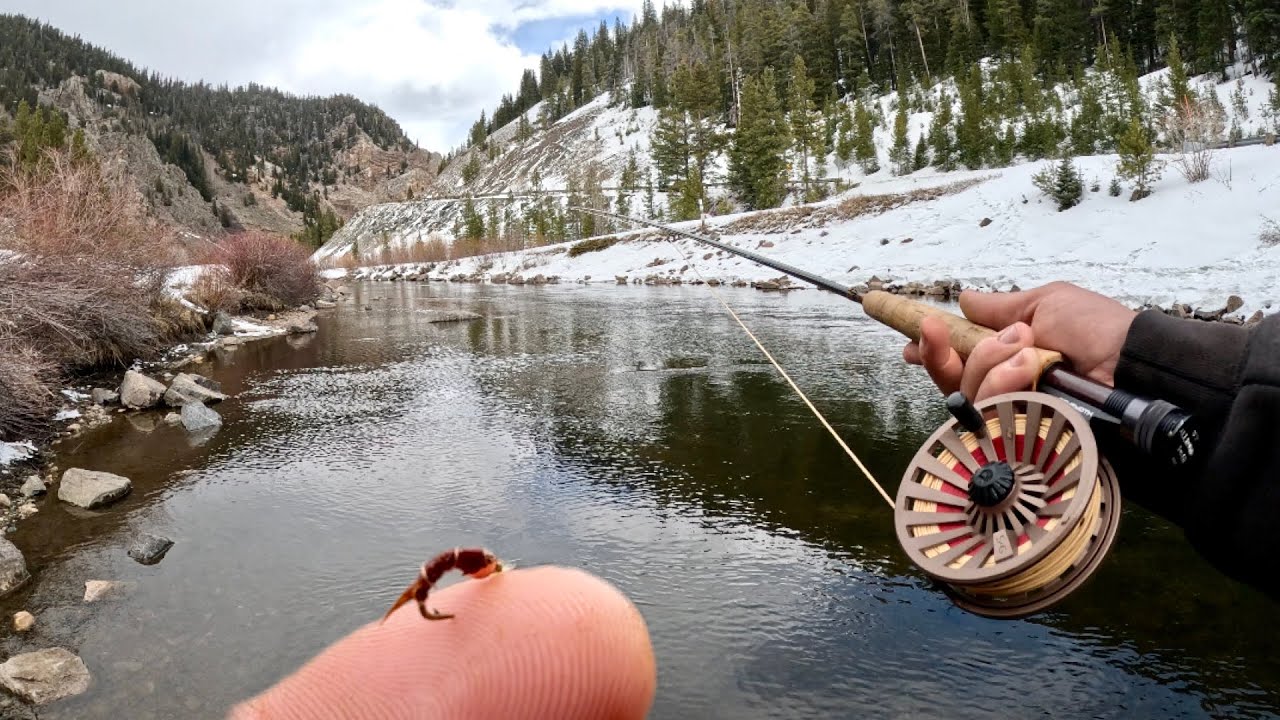 Fly Fishing Giant Trout on Tiny Flies! - YouTube