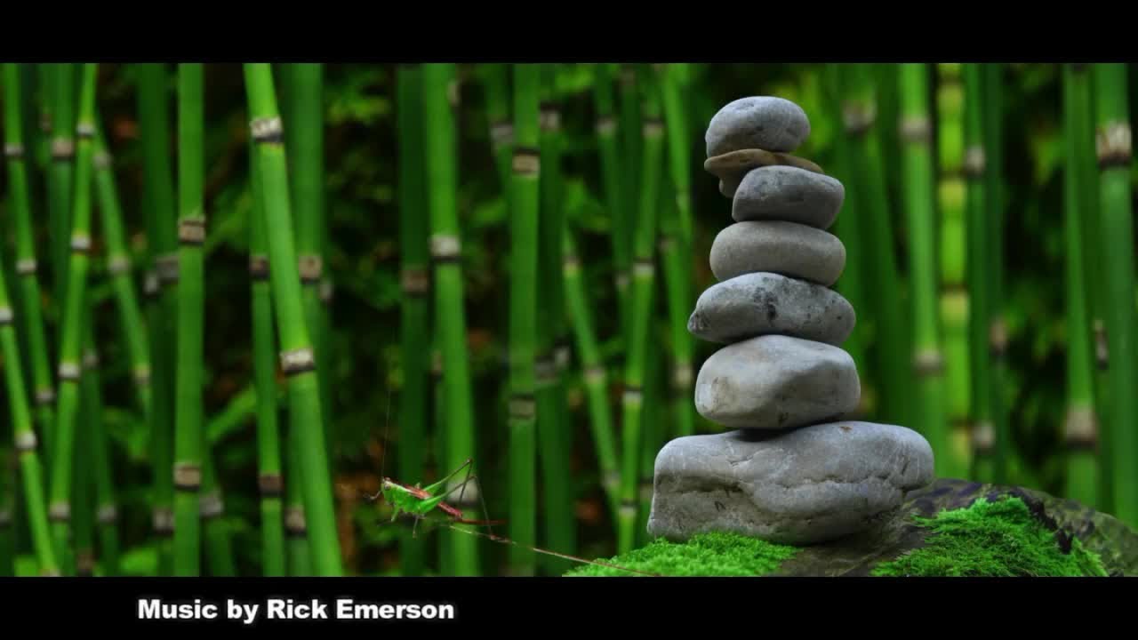 3 HOURS #Piano Music,with Crickets & Birds Singing, Healing, #Spa,# ...