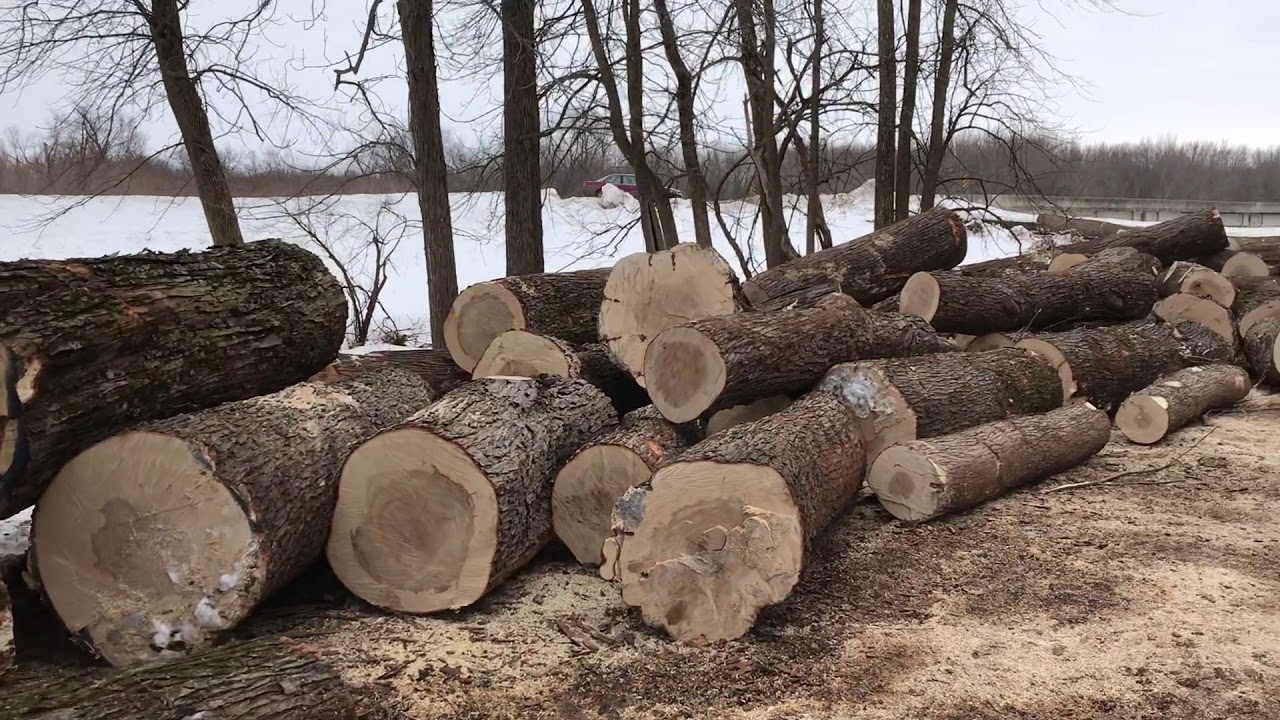 Maple Landing - YouTube