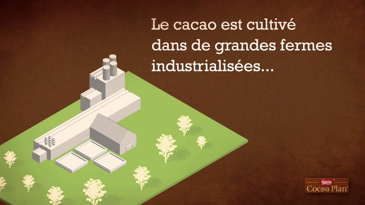 10 choses à savoir sur le Plan Cacao Nestlé - Français - YouTube