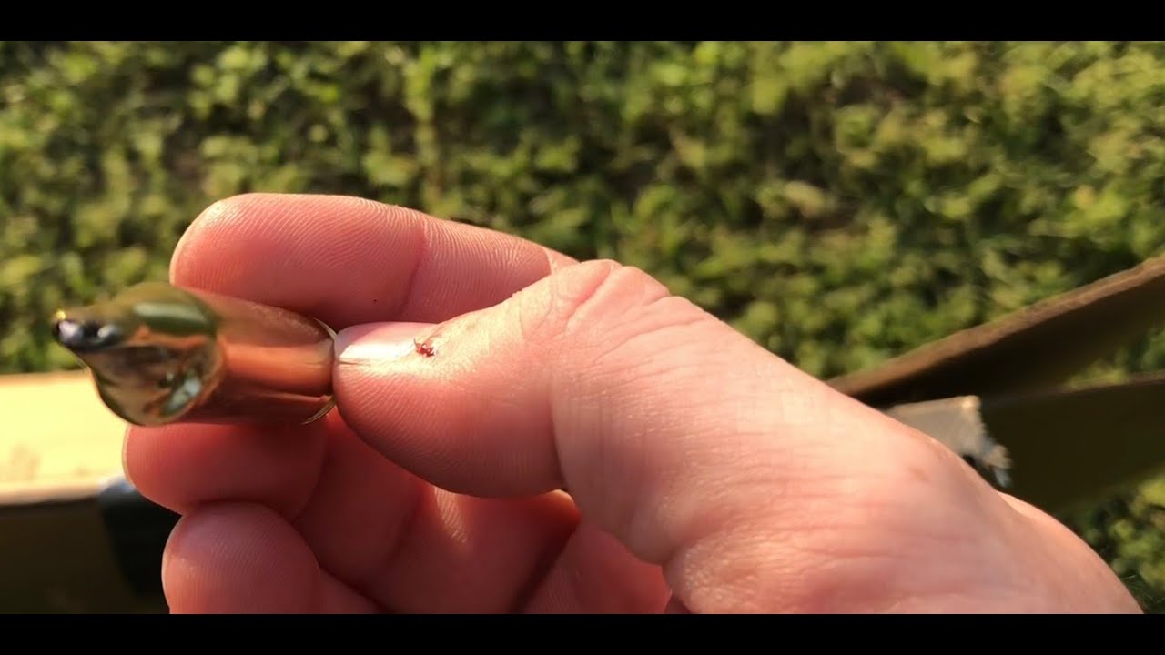 Ruger Precision Rimfire chasing trickshots - YouTube