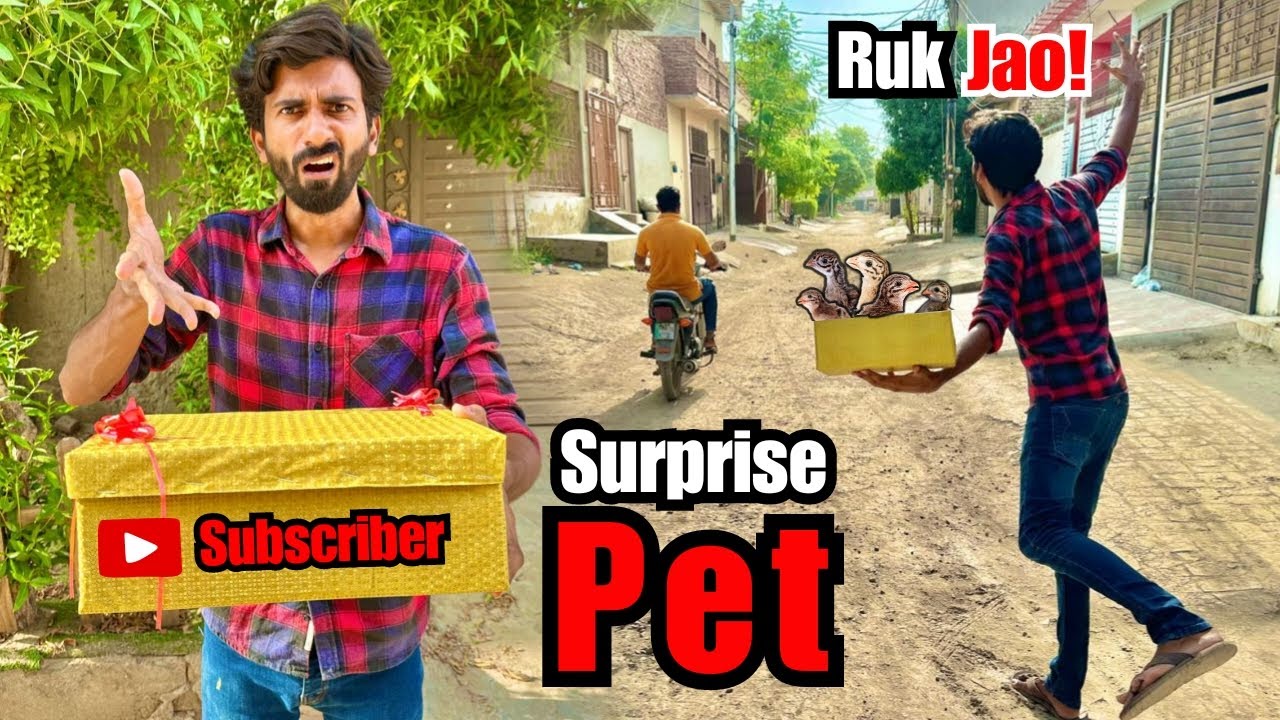 OMG! Yeh Kesa Gift Hai? 🤯 - YouTube