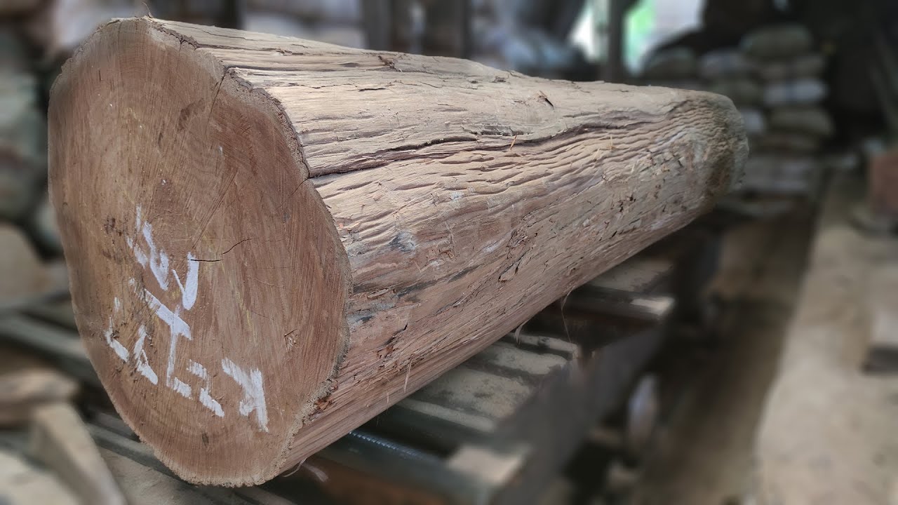 Dramatis!! proses dari dekat pembelahan tebal kayu jati jawa timur ...