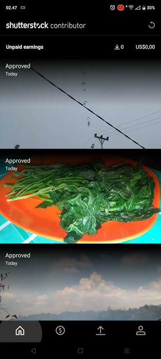 12 Foto Approved Pertama Kali Submit Di Shutterstock Dari 22 Foto Ada
