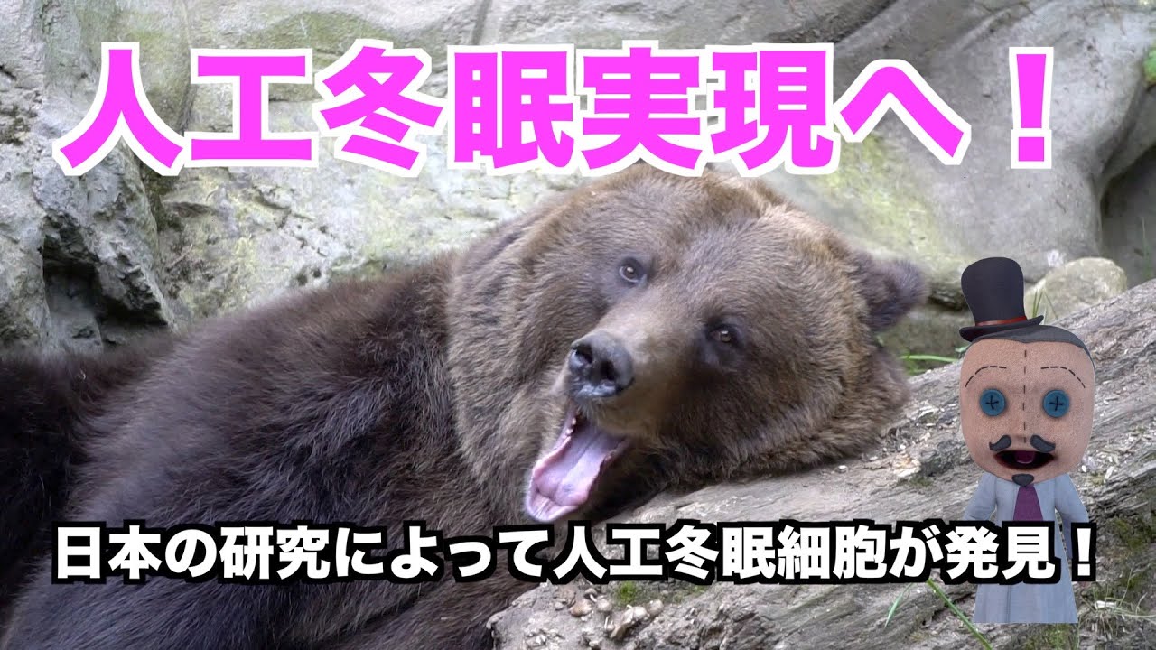 日本の研究により人工冬眠技術がついに実現に向かう！ Artificial hibernation technology finally ...