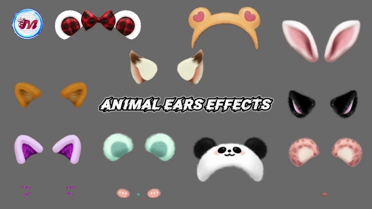 GREEN SCREEN ANIMAL EARS EFFECTS - YouTube
